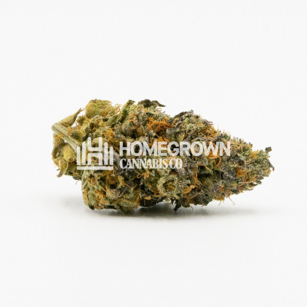 Critical Blue Feminized Cannabis Seeds - Strain info | Homegrown Diaries