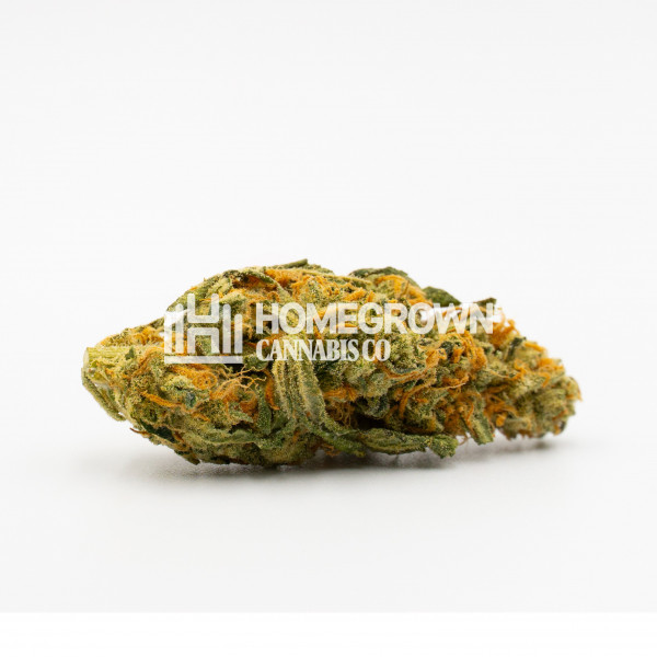 Raisinberry Autoflower Cannabis Seeds - Strain info | Homegrown Diaries