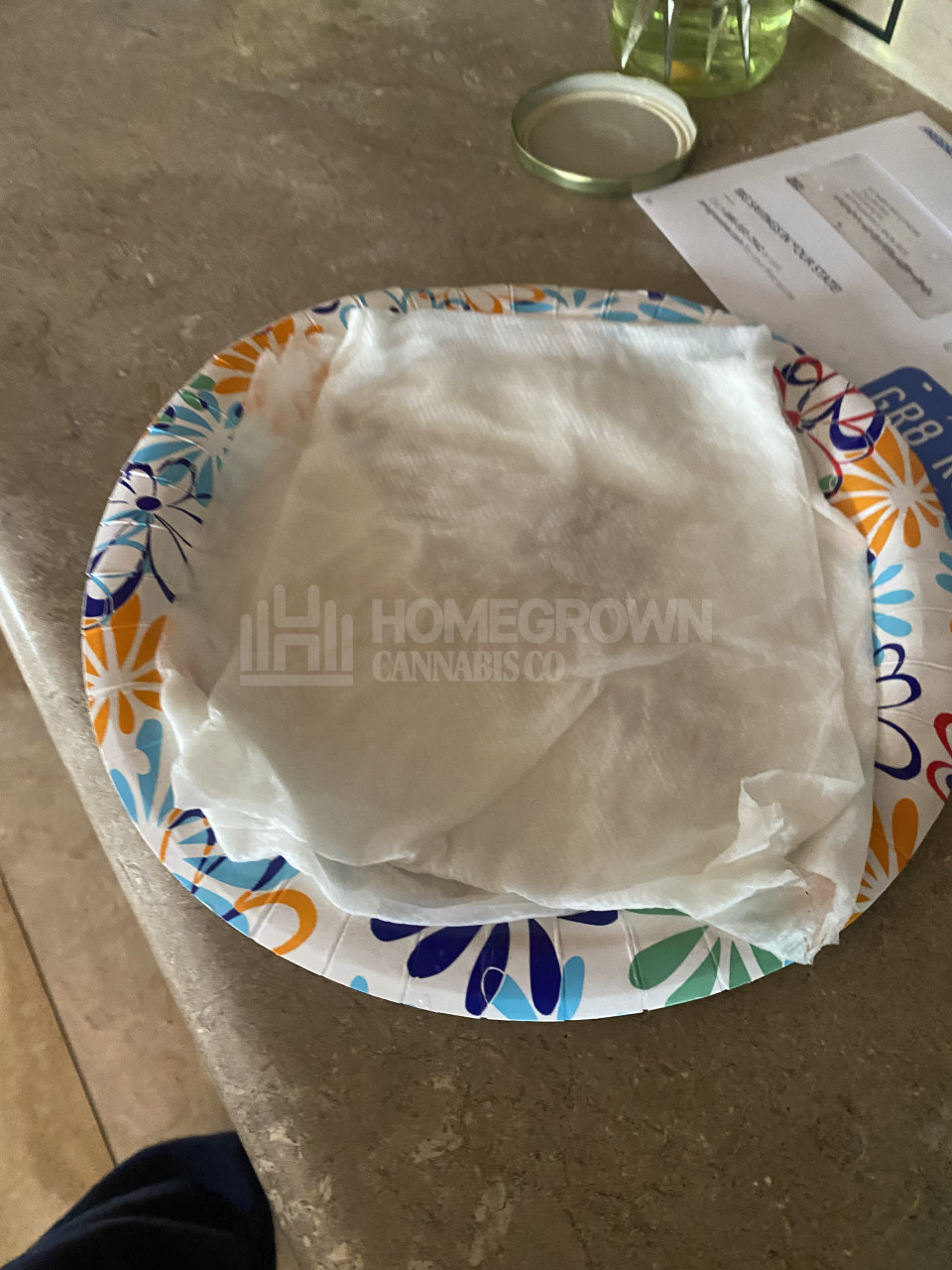 Black Jack Autoflower Cannabis Seeds week 1 grow journal by taralee76 ...