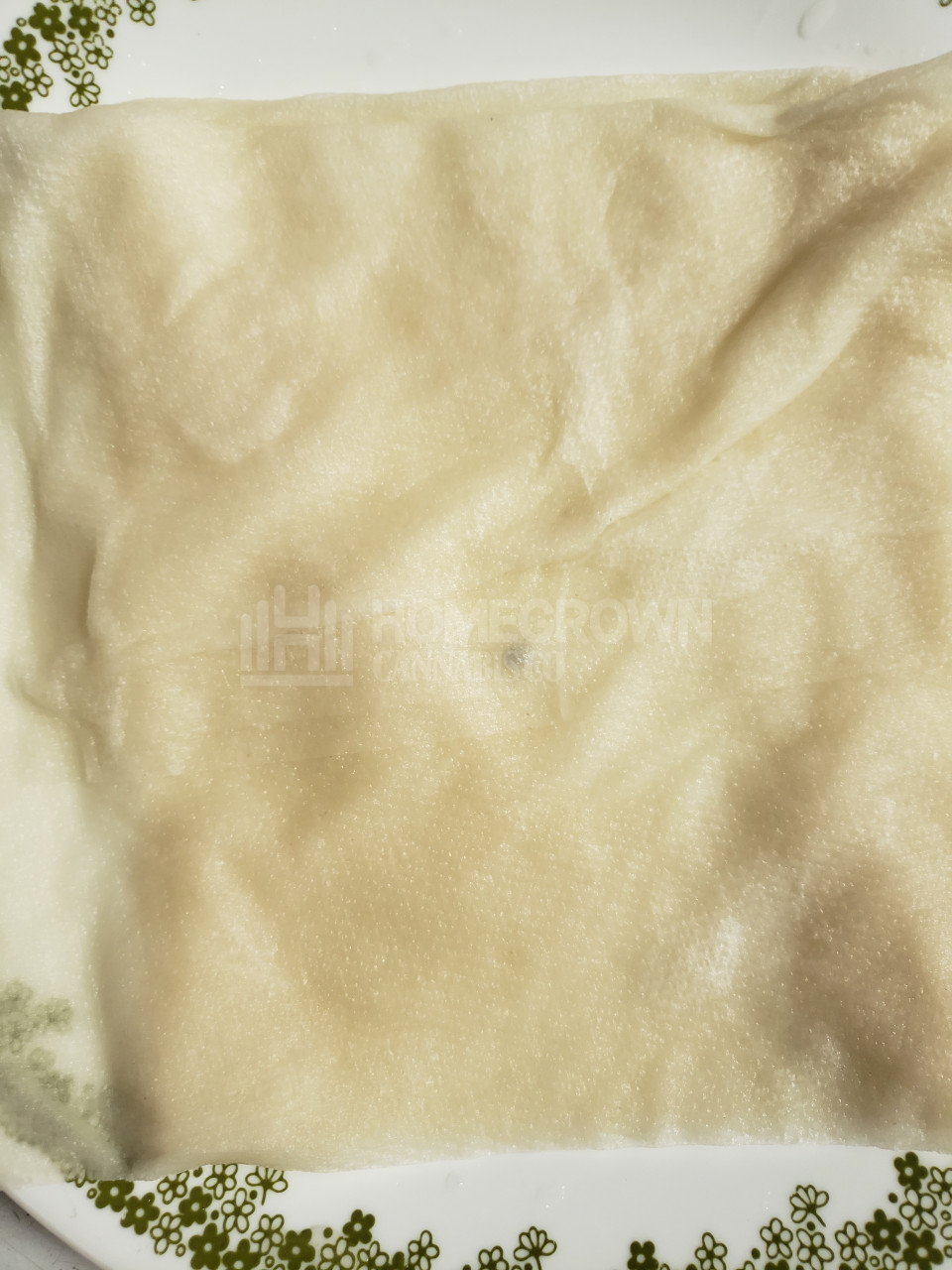 G13 Autoflower Cannabis Seeds week 1 grow journal by bradgrower1 ...