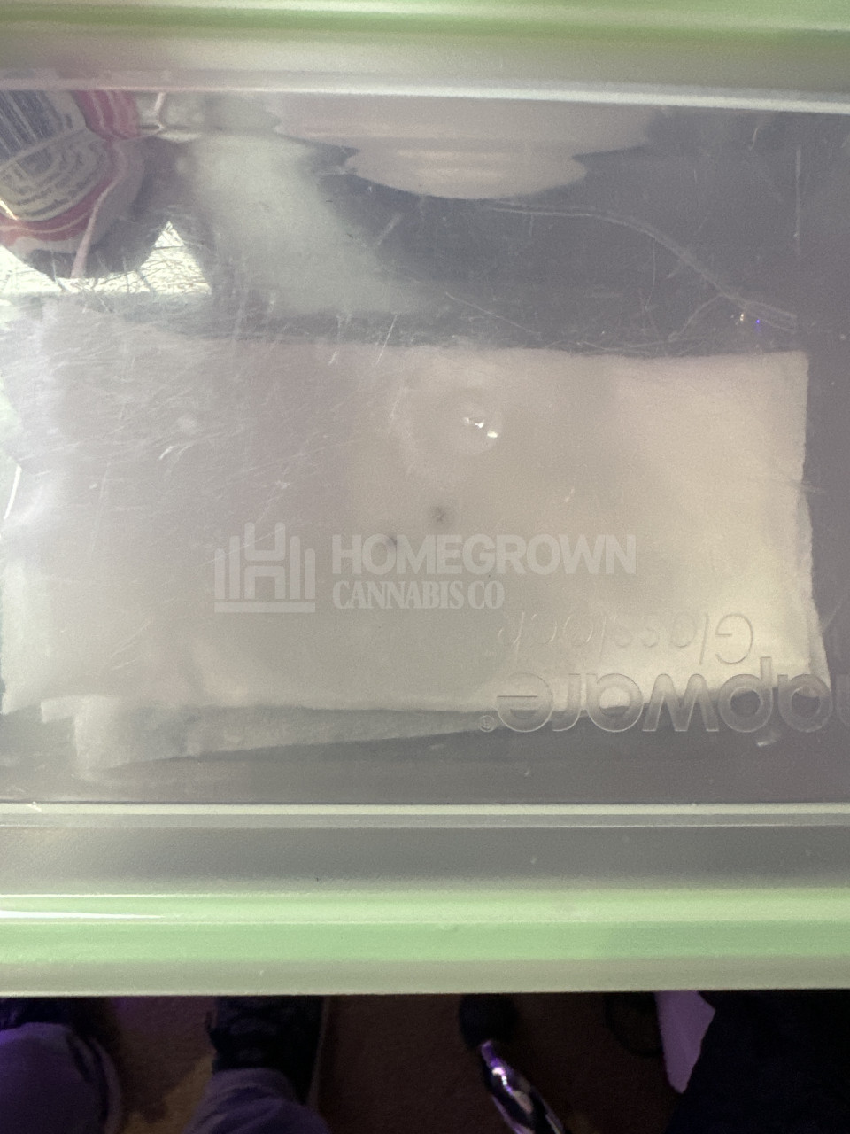 NYC Diesel Autoflower Cannabis Seeds week 1 grow journal by ...