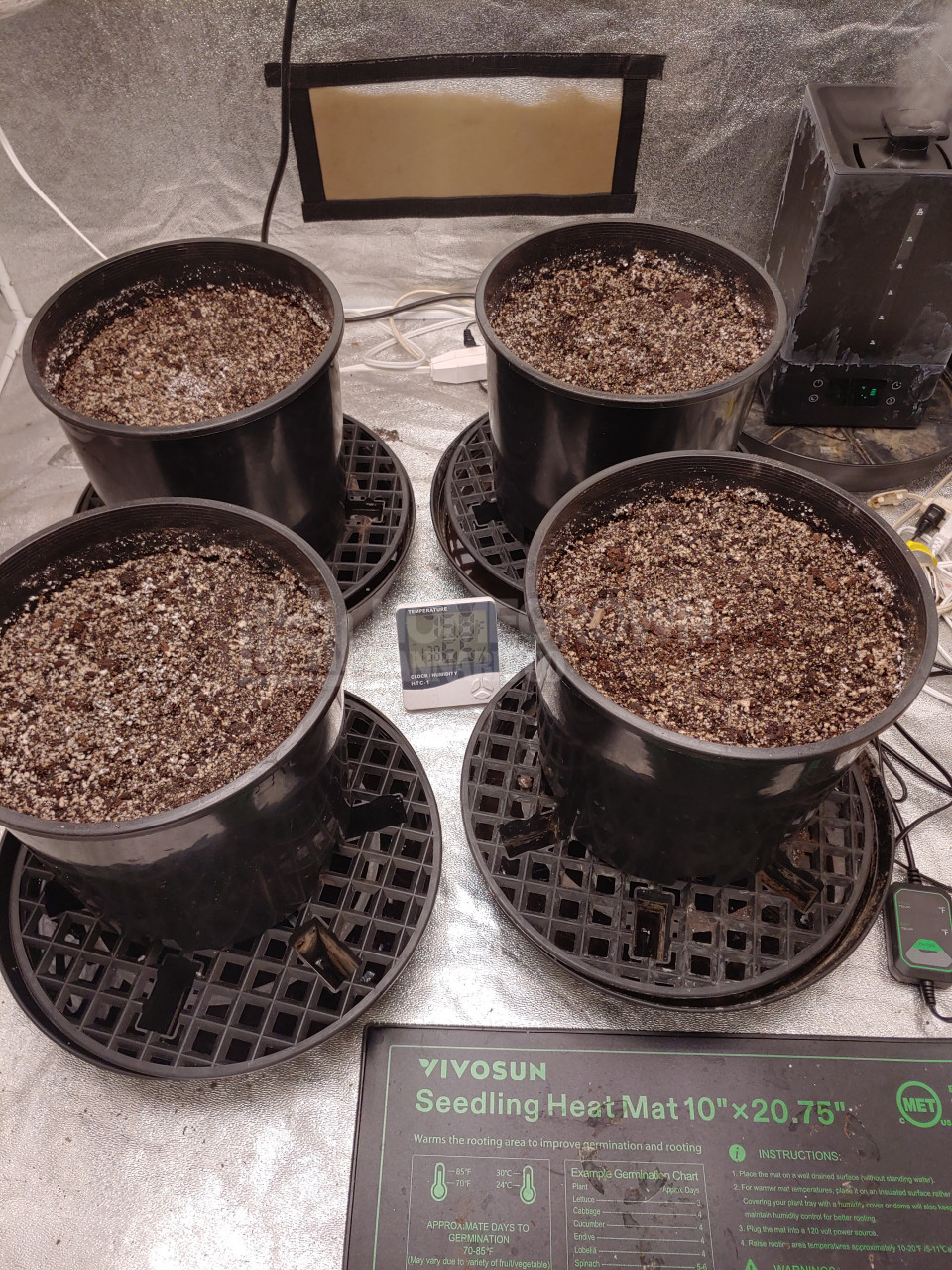 Blood Diamond OG Feminized Cannabis Seeds week 1 grow journal by ...