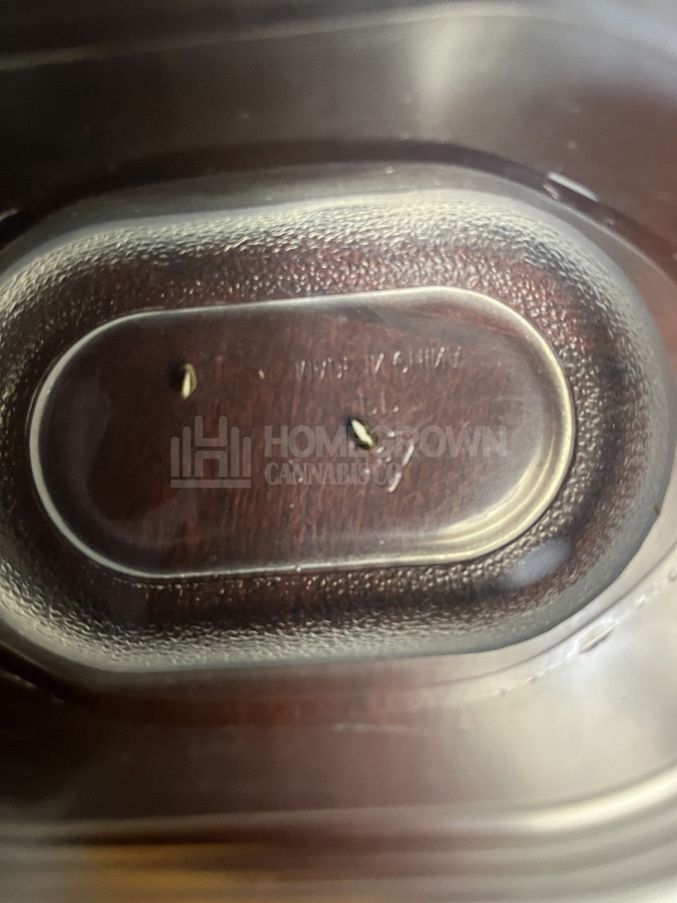 Skunk #1 Feminized Cannabis Seeds week 1 grow journal by chris29909 ...