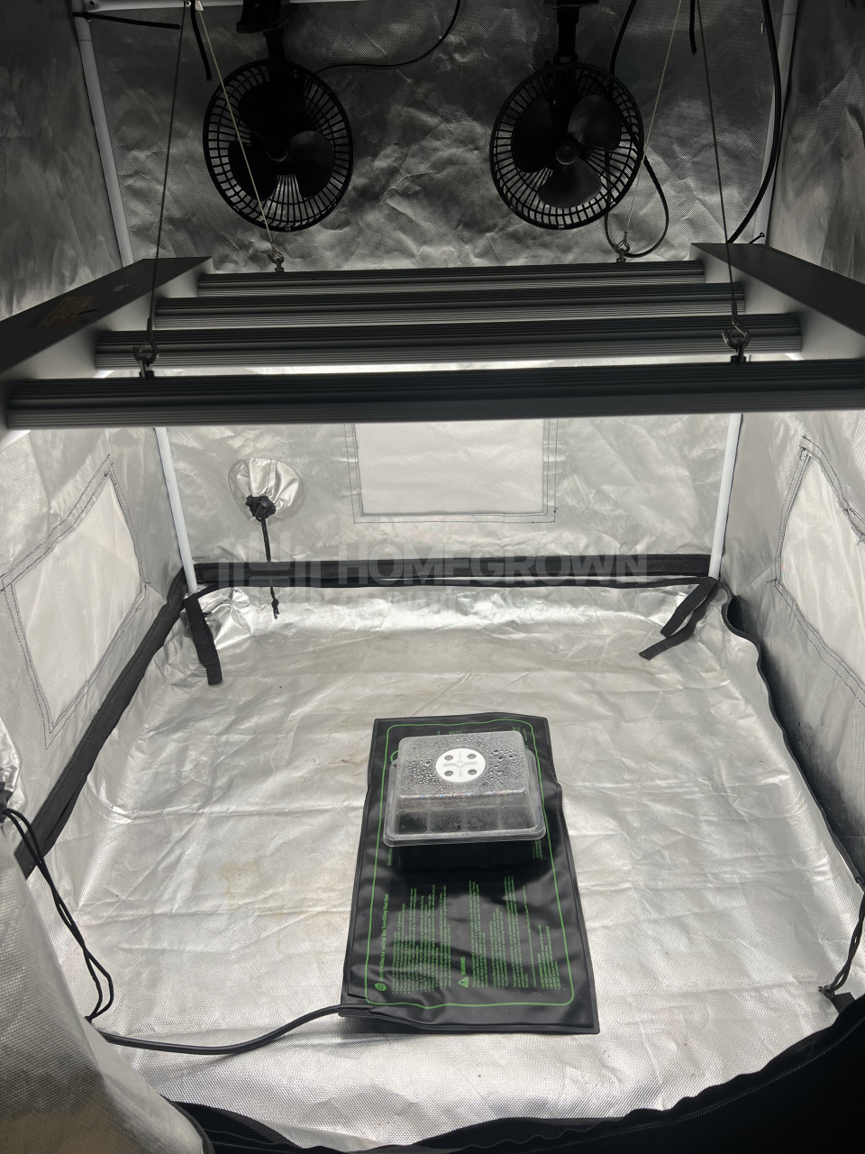 Diesel Autoflower Cannabis Seeds week 1 grow journal by holahd - 1st ...