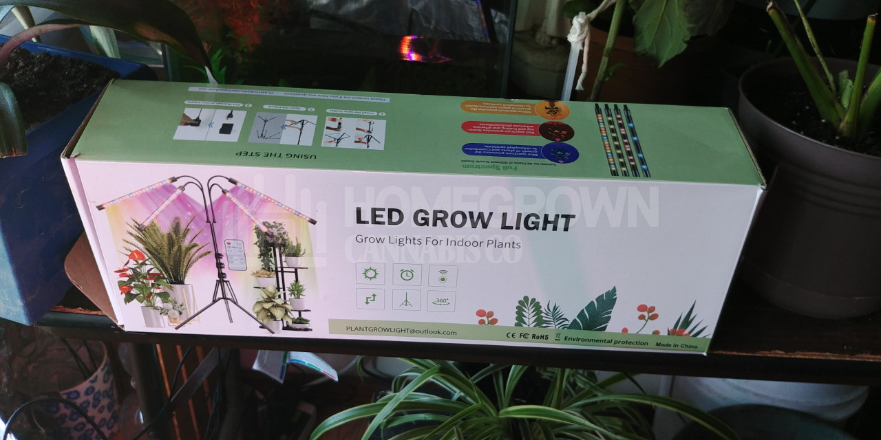 Candy Cream Autoflower Cannabis Seeds week 1 grow journal by ...