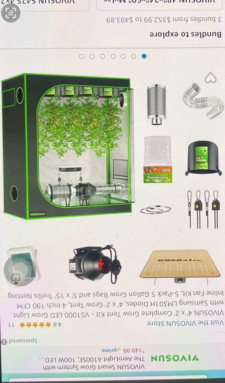 Gorilla Glue #4 Autoflower Cannabis Seeds week 1 grow journal by ...