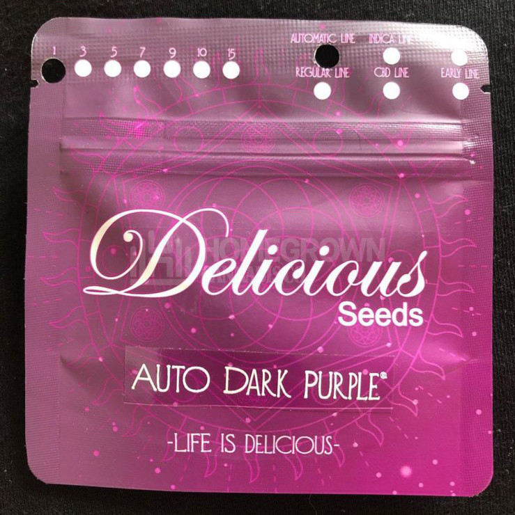 Critical Purple Autoflower Cannabis Seeds week 1 grow journal by resuss ...