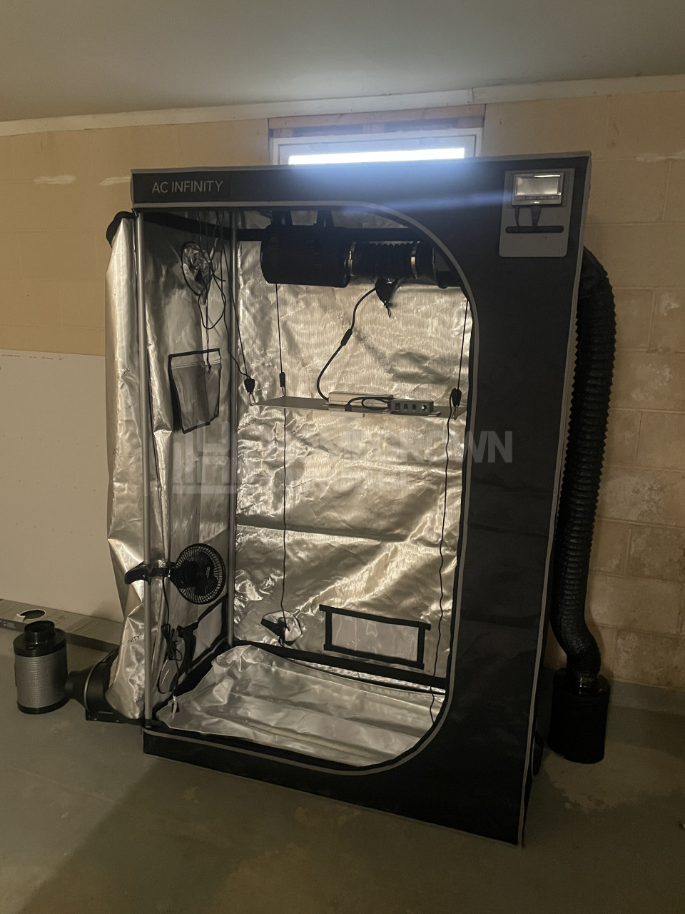 Gelato Autoflower Cannabis Seeds week 1 grow journal by wezzel00 ...