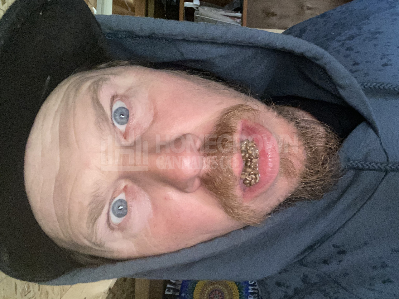 Lowryder Seeds Autoflower Online| Homegrown Cannabis Co.