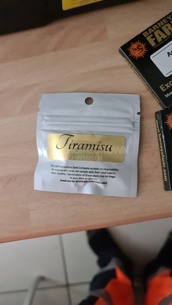 Chemdawg #4 Feminized Cannabis Seeds week 1 grow journal by zucky - 4 ...