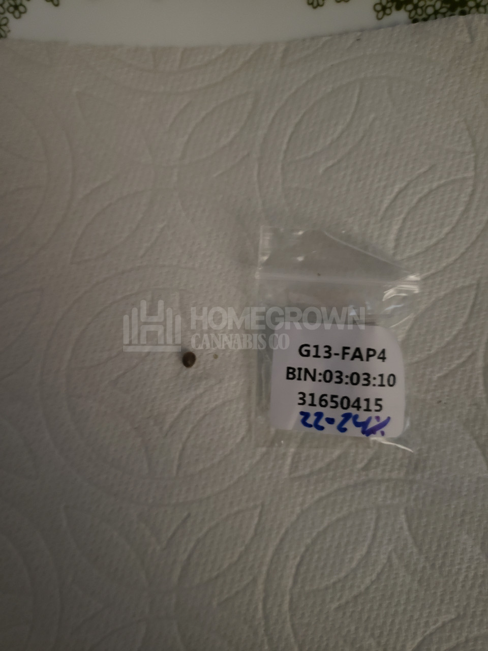 G13 Autoflower Cannabis Seeds week 1 grow journal by bradgrower1 ...